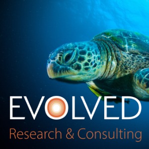 Art based approach to CES | Evolved Research and Consulting