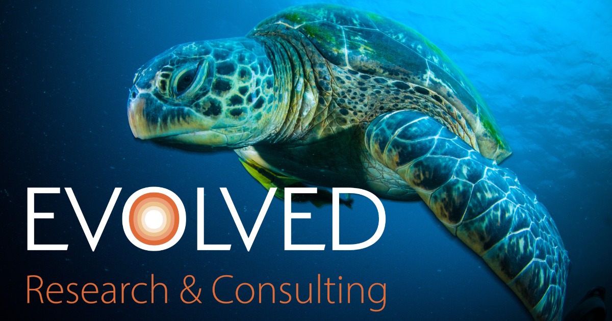 Art based approach to CES | Evolved Research and Consulting